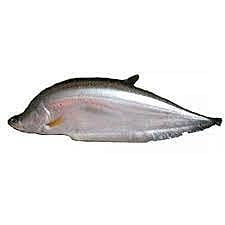 Sea Food